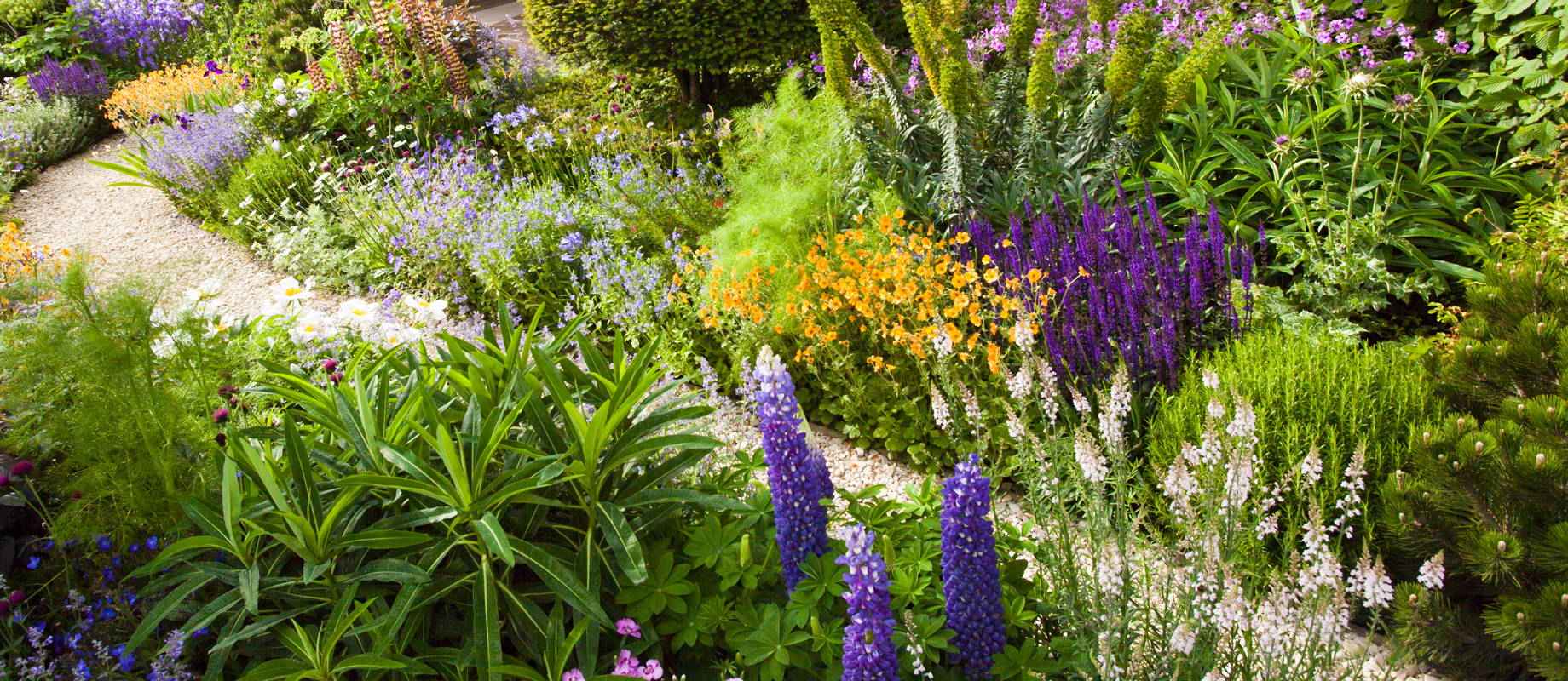 De Bohemian border – Bakker.com