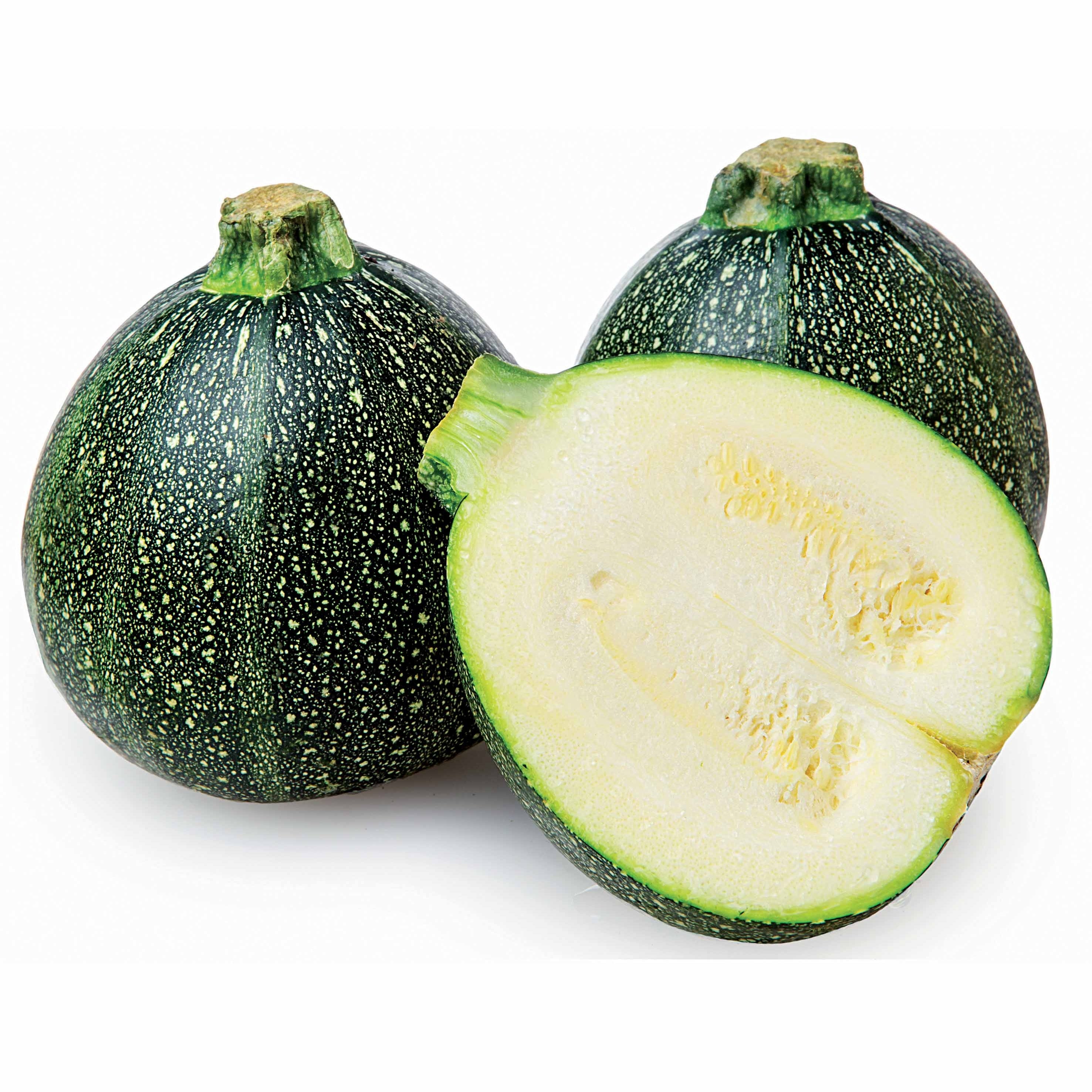 Zaden Ronde courgette - Cucurbita pepo de nice à fruits ronds | Bakker.com