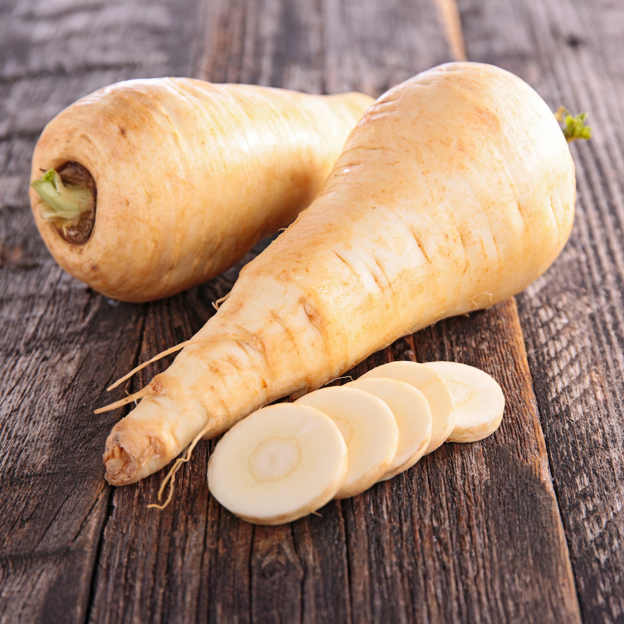 Zaden Pastinaak 'Demi-Long De Guernsey' - Pastinaca sativa demi-long de ...